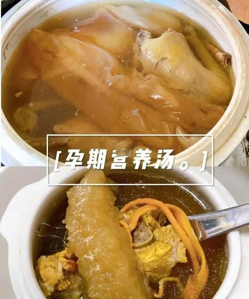 鸽子汤的功效与做法_孕妇能喝吗-第1张图片-山城妙识