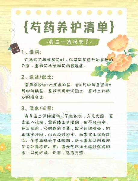 芍药花什么时候开花_芍药花怎么养护-第1张图片-山城妙识