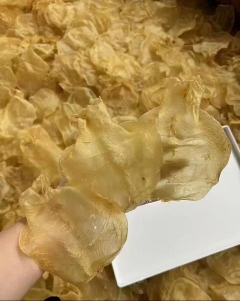 花胶和鱼肚的区别_花胶与鱼肚哪个更营养-第1张图片-山城妙识 花胶和鱼肚的区别_花胶与鱼肚哪个更营养-第1张图片-山城妙识