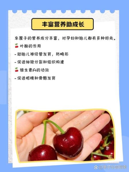 孕妇可以吃车厘子吗_车厘子对胎儿有影响吗-第1张图片-山城妙识