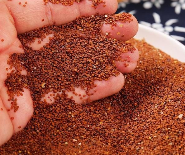 冰粉籽植物图片_冰粉籽长什么样-第3张图片-山城妙识