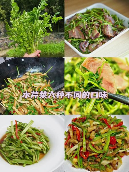 水芹菜能吃吗_水芹菜怎么吃才安全-第1张图片-山城妙识