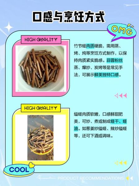 竹节蛏是什么东西_竹节蛏和蛏子区别-第1张图片-山城妙识 竹节蛏是什么东西_竹节蛏和蛏子区别-第1张图片-山城妙识