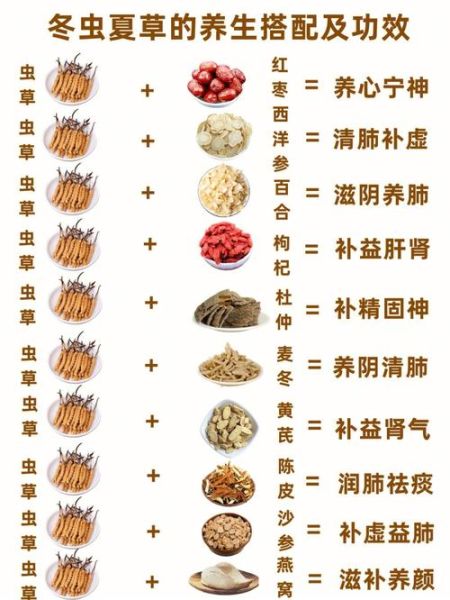冬虫夏草的功效与作用禁忌_哪些人不能吃-第2张图片-山城妙识