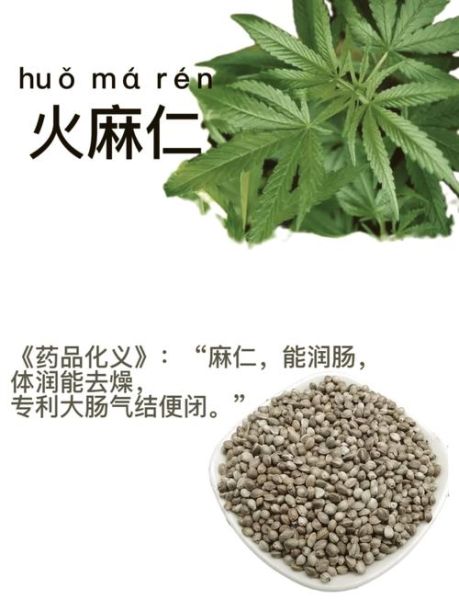 胡麻仁是火麻仁吗_区别与功效对比-第2张图片-山城妙识