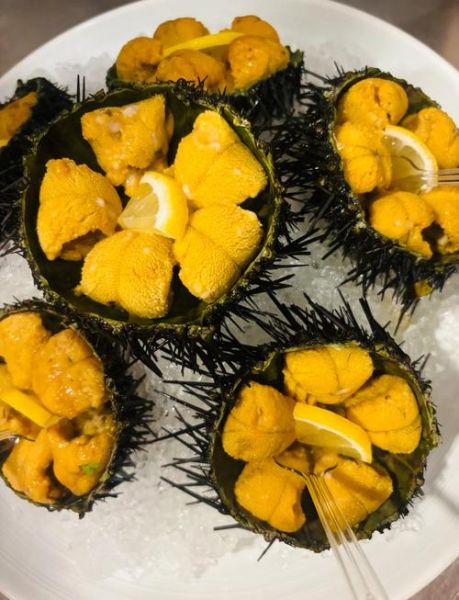 海胆怎么清蒸_清蒸海胆蒸多久-第2张图片-山城妙识 海胆怎么清蒸_清蒸海胆蒸多久-第2张图片-山城妙识