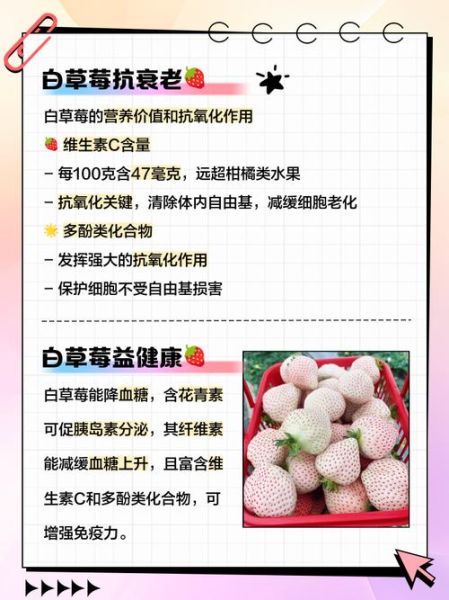 白草莓种植方法_白草莓多少钱一斤-第2张图片-山城妙识 白草莓种植方法_白草莓多少钱一斤-第2张图片-山城妙识