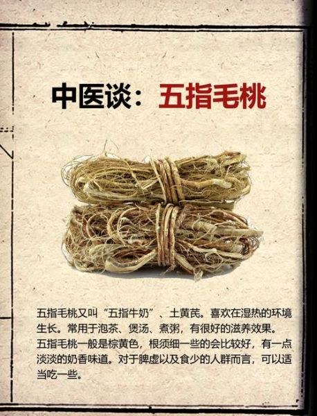 五指毛桃的功效与作用及禁忌_五指毛桃什么人不能吃-第1张图片-山城妙识