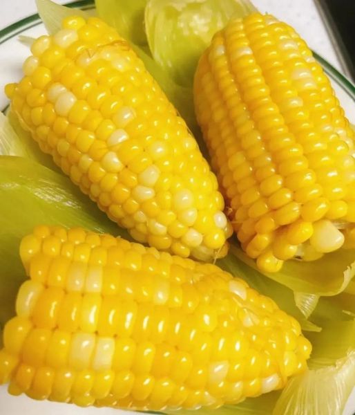 煮玉米放多少盐合适_煮玉米加盐比例是多少-第2张图片-山城妙识 煮玉米放多少盐合适_煮玉米加盐比例是多少-第2张图片-山城妙识