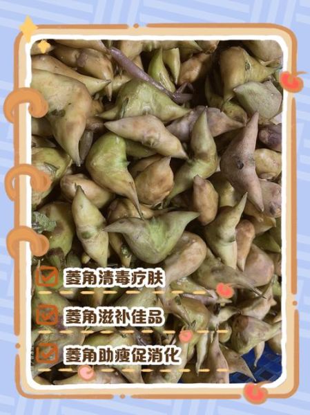 菱角的功效与作用_血糖高能吃吗-第1张图片-山城妙识 菱角的功效与作用_血糖高能吃吗-第1张图片-山城妙识