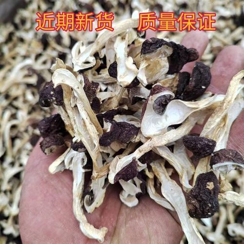 赤松茸多少钱一斤_赤松茸价格行情-第1张图片-山城妙识