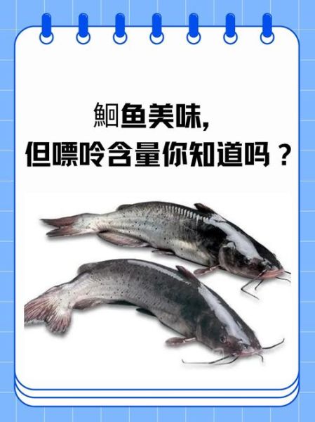 回鱼图片及价格_回鱼多少钱一斤-第3张图片-山城妙识