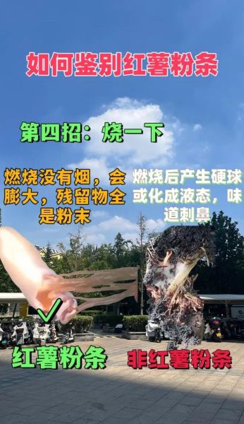 地瓜粉是红薯粉吗_两者区别与用途全解析-第1张图片-山城妙识 地瓜粉是红薯粉吗_两者区别与用途全解析-第1张图片-山城妙识