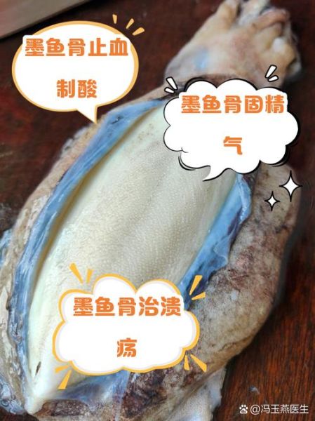 乌贼骨副作用有哪些_乌贼骨禁忌人群-第1张图片-山城妙识
