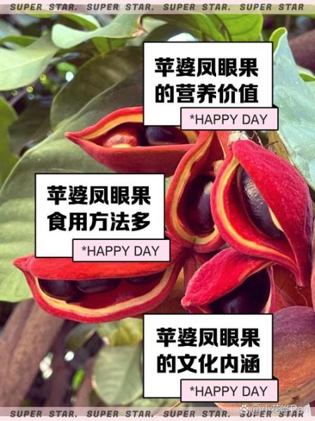 凤眼果是什么水果_凤眼果怎么吃-第2张图片-山城妙识 凤眼果是什么水果_凤眼果怎么吃-第2张图片-山城妙识