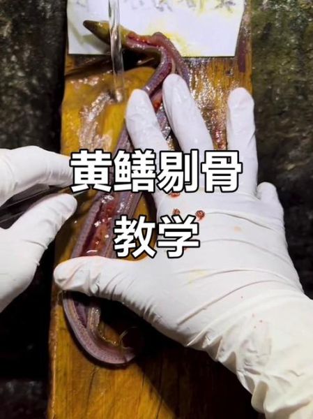 黄鳝怎么杀_黄鳝宰杀视频教程-第3张图片-山城妙识