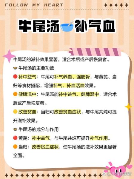 牛尾汤一天喝多少最好_每天喝几次最健康-第3张图片-山城妙识