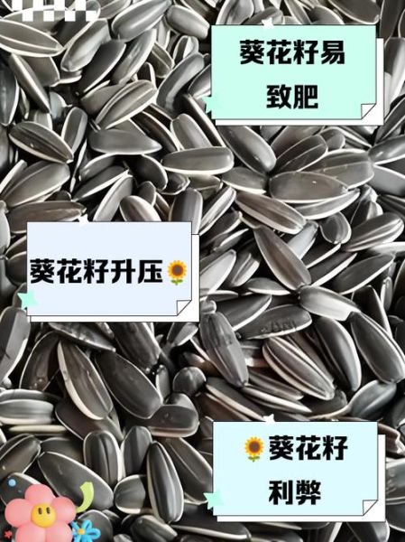 经常吃葵花籽的危害_葵花籽吃多了有什么坏处-第2张图片-山城妙识