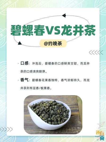 碧螺春和龙井哪个更好_口感与功效全面对比-第1张图片-山城妙识 碧螺春和龙井哪个更好_口感与功效全面对比-第1张图片-山城妙识
