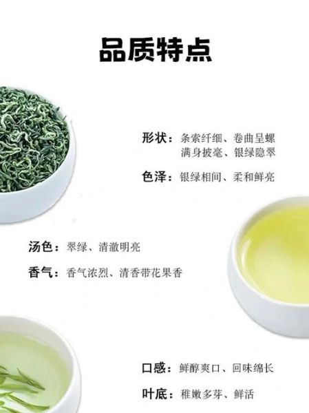 碧螺春和龙井哪个更好_口感与功效全面对比-第3张图片-山城妙识 碧螺春和龙井哪个更好_口感与功效全面对比-第3张图片-山城妙识