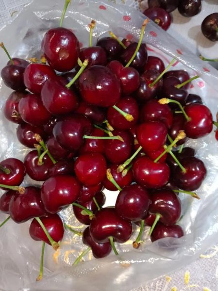 车厘子怎么挑_车厘子实拍图怎么看-第3张图片-山城妙识