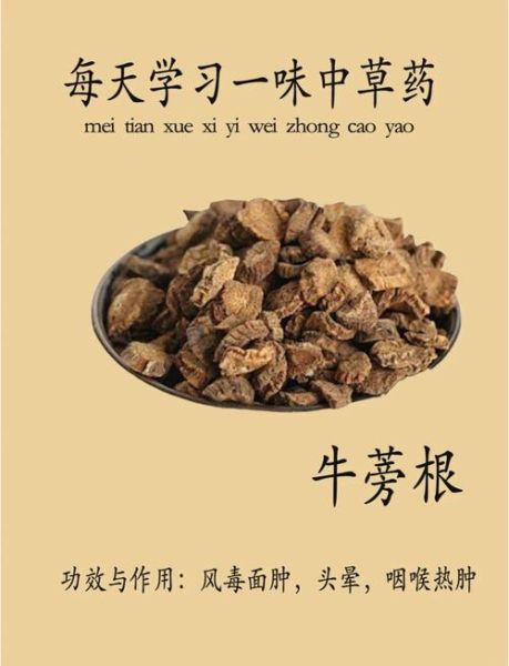 牛蒡根的功效与作用有哪些_牛蒡茶能长期喝吗-第2张图片-山城妙识 牛蒡根的功效与作用有哪些_牛蒡茶能长期喝吗-第2张图片-山城妙识