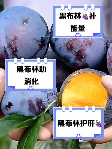 黑布林孕妇可以吃吗_黑布林孕妇能吃吗-第1张图片-山城妙识 黑布林孕妇可以吃吗_黑布林孕妇能吃吗-第1张图片-山城妙识