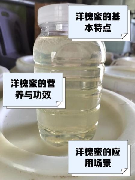 洋槐花蜜的功效与作用_洋槐花蜜适合什么人喝-第2张图片-山城妙识