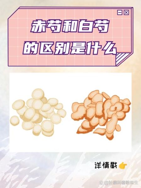 白芍和赤芍的区别_白芍赤芍功效与作用-第2张图片-山城妙识 白芍和赤芍的区别_白芍赤芍功效与作用-第2张图片-山城妙识