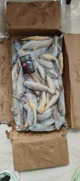 冻小黄花鱼怎么做好吃_冻小黄花鱼的家常做法-第2张图片-山城妙识