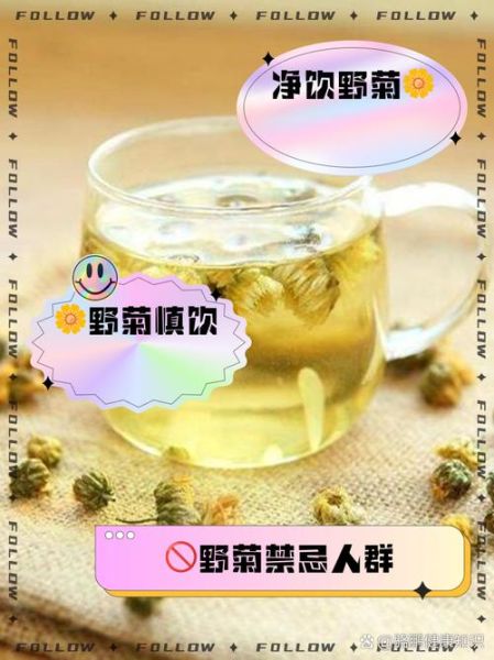 野菊花泡水喝的功效_野菊花泡水喝的禁忌-第1张图片-山城妙识 野菊花泡水喝的功效_野菊花泡水喝的禁忌-第1张图片-山城妙识