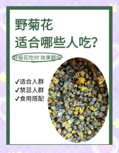野菊花泡水喝的功效_野菊花泡水喝的禁忌-第3张图片-山城妙识 野菊花泡水喝的功效_野菊花泡水喝的禁忌-第3张图片-山城妙识