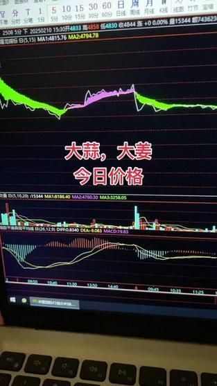 大蒜期货行情2021走势_大蒜期货为什么暴涨-第3张图片-山城妙识