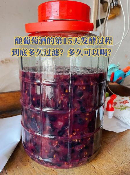 葡萄酒是怎么做的_自酿葡萄酒步骤-第2张图片-山城妙识