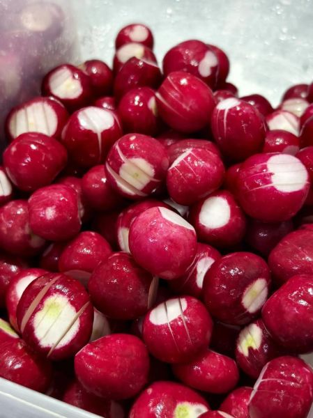 樱桃萝卜泡菜怎么做_樱桃萝卜泡菜腌制多久-第2张图片-山城妙识 樱桃萝卜泡菜怎么做_樱桃萝卜泡菜腌制多久-第2张图片-山城妙识