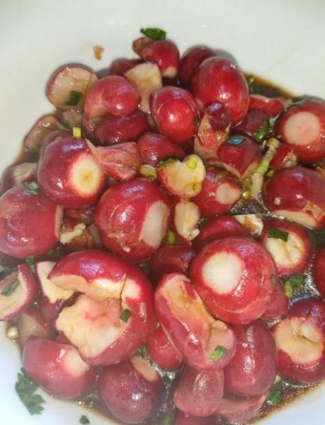 樱桃萝卜泡菜怎么做_樱桃萝卜泡菜腌制多久-第1张图片-山城妙识 樱桃萝卜泡菜怎么做_樱桃萝卜泡菜腌制多久-第1张图片-山城妙识