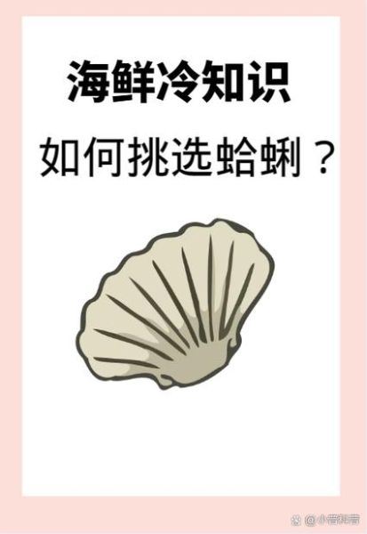 蛤蜊怎么养_蛤蜊怎么养它活着-第2张图片-山城妙识