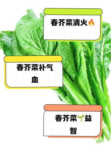 春芥菜图片_如何辨别新鲜度-第2张图片-山城妙识