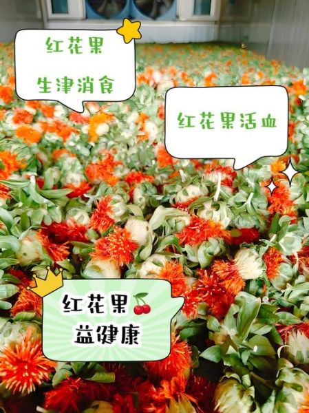 红花的功效与作用怎么吃_红花正确吃法-第3张图片-山城妙识