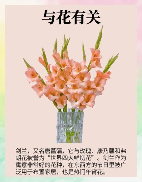 花语大全查询_送花寓意是什么-第2张图片-山城妙识