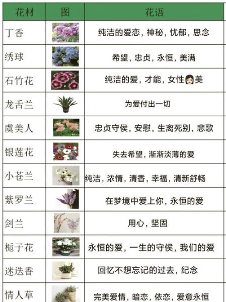 花语大全查询_送花寓意是什么-第3张图片-山城妙识