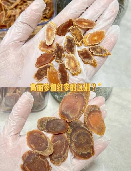 高丽参是红参吗_区别与功效全解析-第2张图片-山城妙识