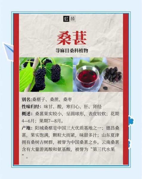 桑葚的功效与作用_桑葚怎么吃最补肾-第1张图片-山城妙识 桑葚的功效与作用_桑葚怎么吃最补肾-第1张图片-山城妙识