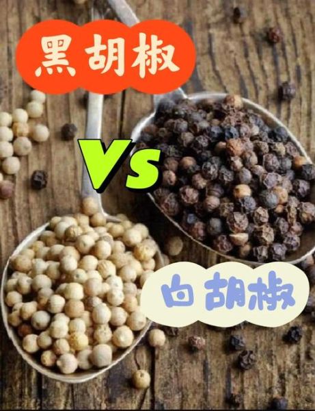 白胡椒和黑胡椒的区别_白胡椒和黑胡椒怎么用-第3张图片-山城妙识 白胡椒和黑胡椒的区别_白胡椒和黑胡椒怎么用-第3张图片-山城妙识