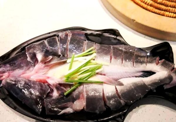 野生鮰鱼多少钱一斤_如何辨别真假野生鮰鱼-第1张图片-山城妙识