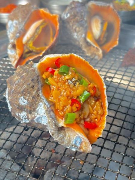 海螺图片怎么拍_海螺图片怎么调色-第3张图片-山城妙识