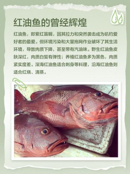 红油鱼图片怎么做_红油鱼图片高清拍摄技巧-第2张图片-山城妙识 红油鱼图片怎么做_红油鱼图片高清拍摄技巧-第2张图片-山城妙识