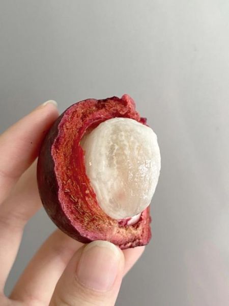 山竹坏了的图片_还能吃吗-第2张图片-山城妙识