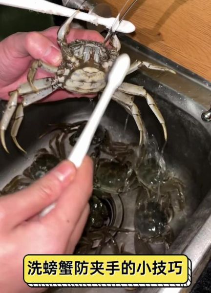 如何洗螃蟹_螃蟹怎么清洗才干净-第2张图片-山城妙识
