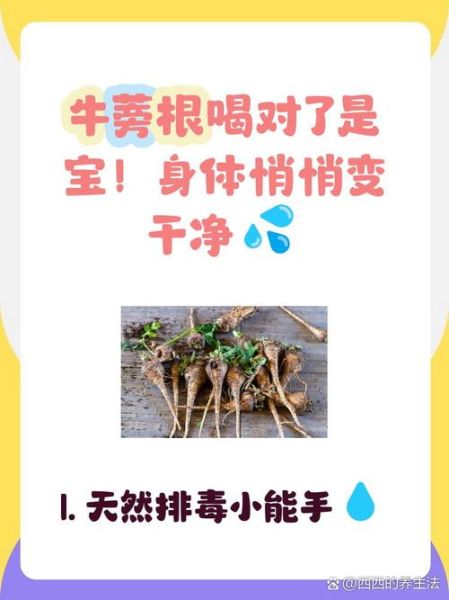 牛蒡的功效与作用_牛蒡的禁忌人群有哪些-第3张图片-山城妙识 牛蒡的功效与作用_牛蒡的禁忌人群有哪些-第3张图片-山城妙识